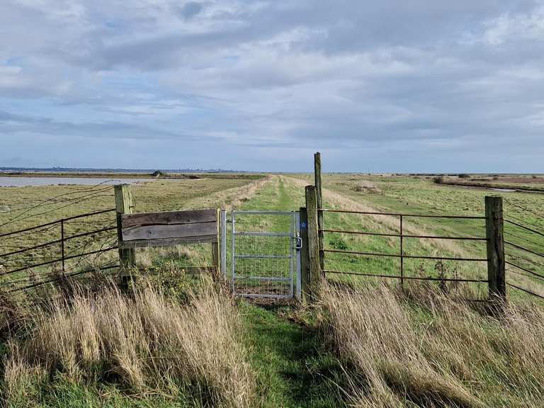 Top 9 Hikes and Walks in High Halstow National Nature Reserve | Komoot