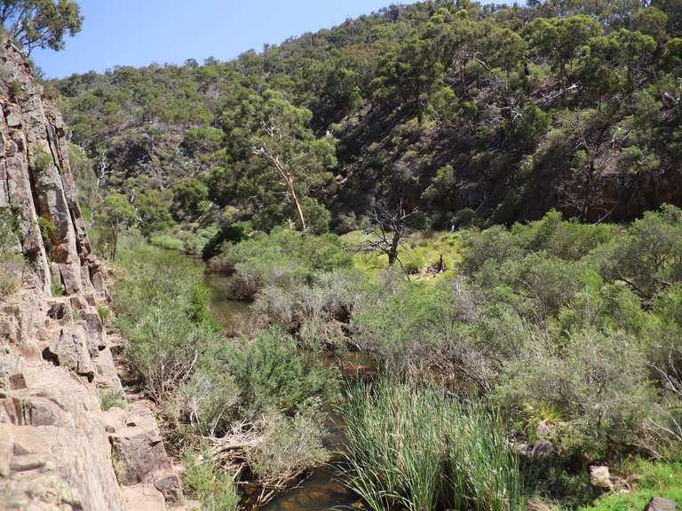Top 7 Hikes and Walks in Werribee Gorge State Park | Komoot