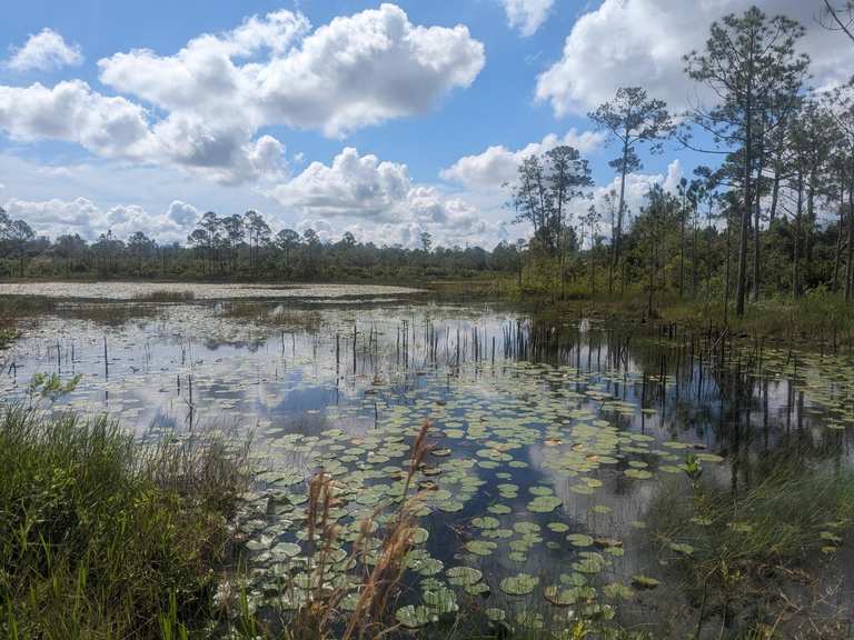 The best walks and hikes in Geneva Wilderness Area | Komoot