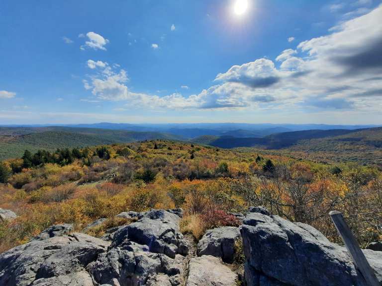The best walks and hikes in Grayson Highlands State Park | Komoot