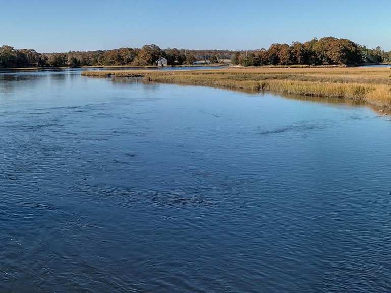 The best walks and hikes in Demarest Lloyd State Park | Komoot