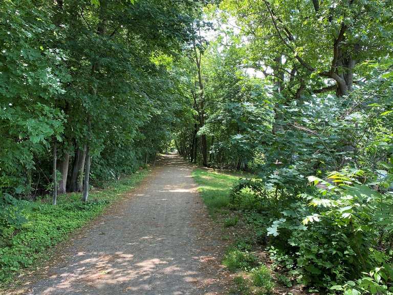De 5 mooiste hardlooproutes in Hop River State Park Trail | Komoot