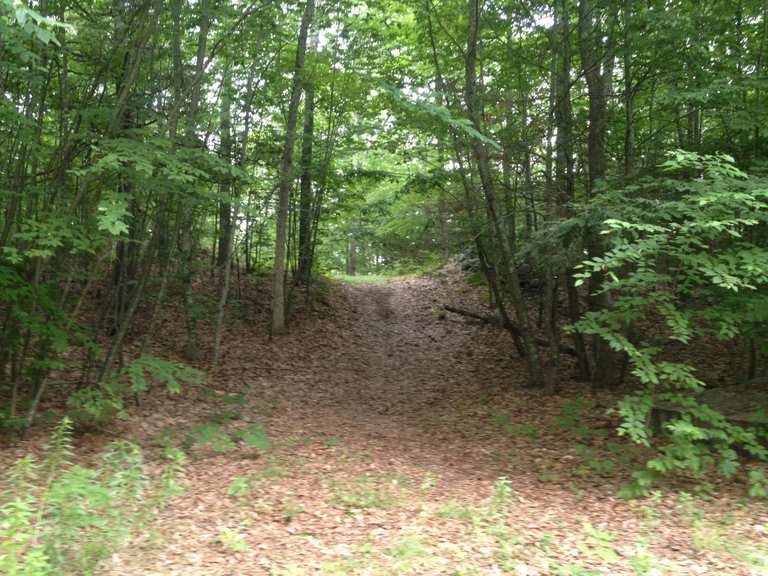 Top 7 Hikes and Walks in Machimoodus State Park | Komoot