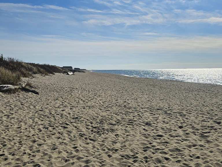 Top 8 Hikes and Walks in Hammonasset Beach State Park | Komoot