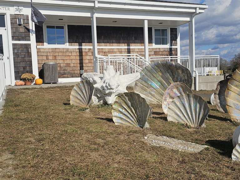 Ausflugsziele im Hammonasset Beach State Park - Die Top 7 | Komoot