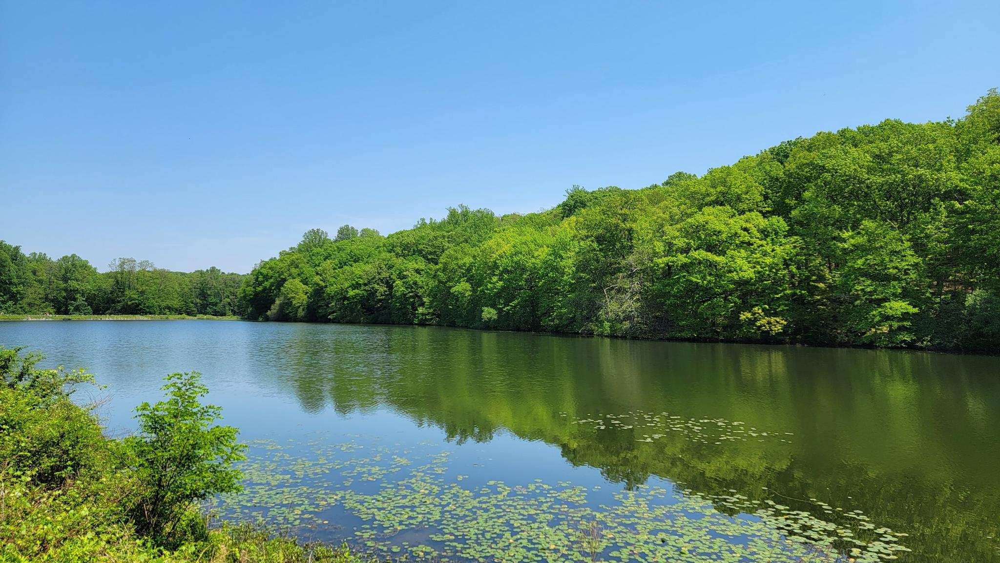 Top 17 Hikes and Walks in Rockefeller State Park Preserve | Komoot