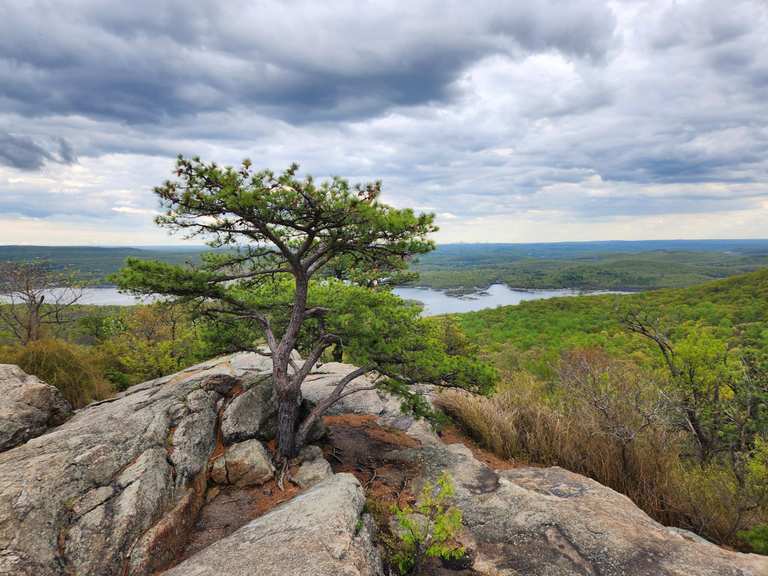 Top 10 Hikes and Walks in Silas Condict County Park | Komoot