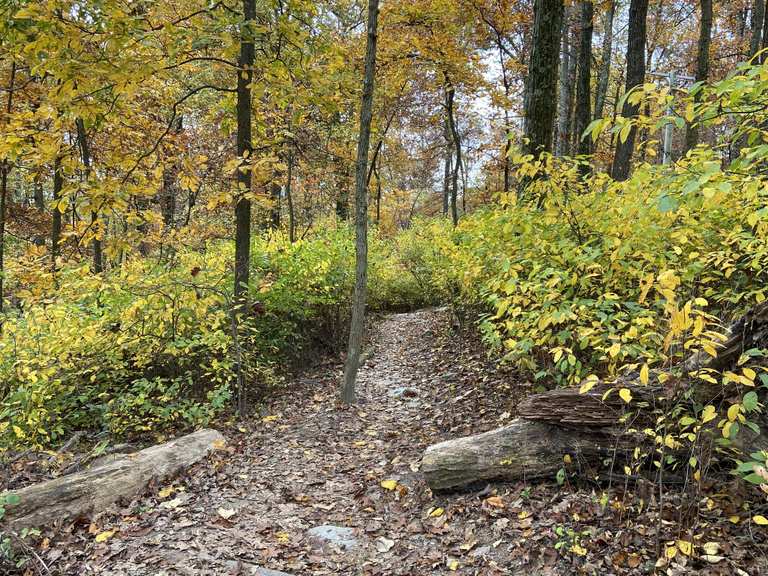 Top 10 Hikes and Walks in Gambrill State Park | Komoot