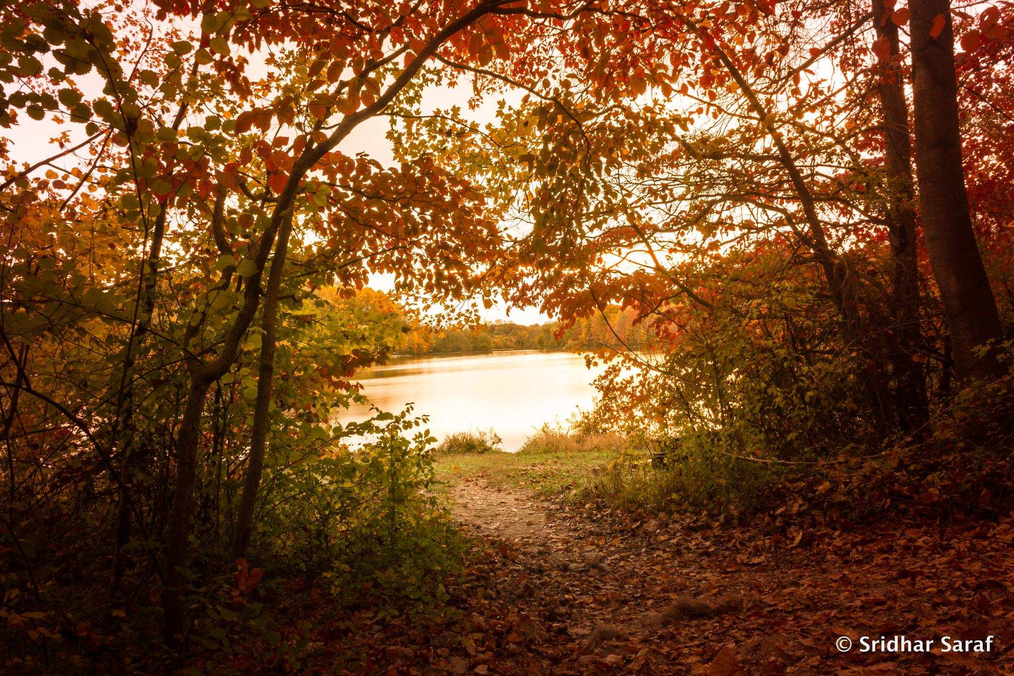 Top 10 Hikes and Walks in Patapsco Valley State Park Pickall Area | Komoot