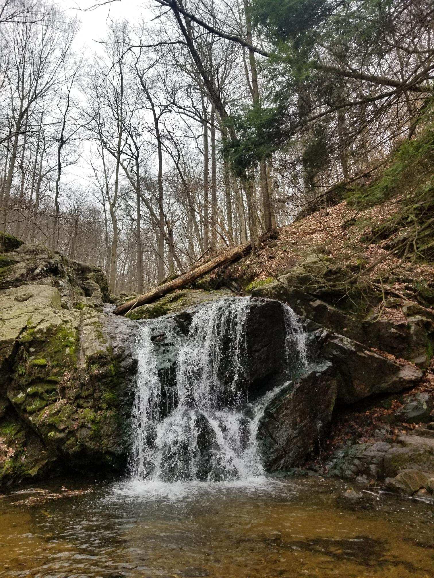 Top 20 Hikes and Walks in Patapsco Valley State Park | Komoot