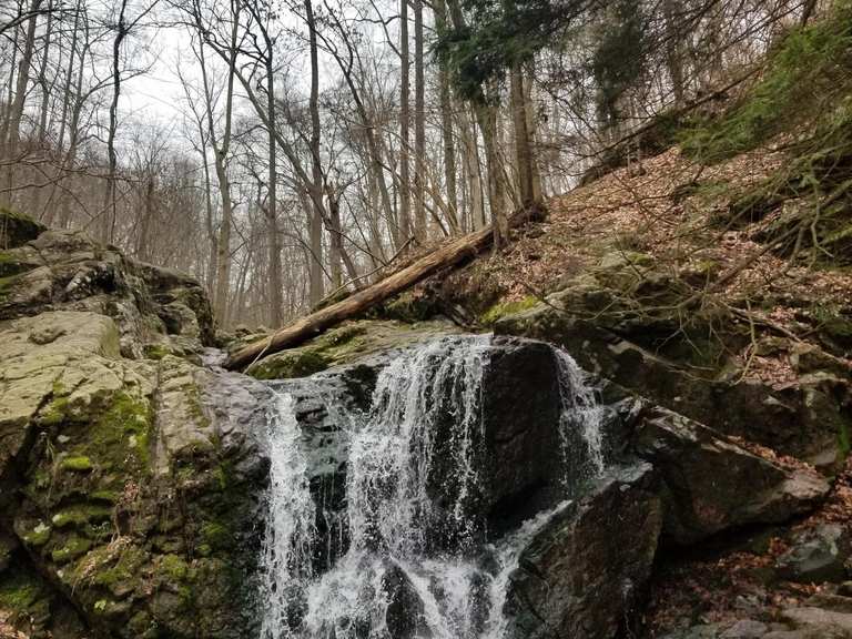 Top 10 Hikes and Walks in Patapsco Valley State Park | Komoot