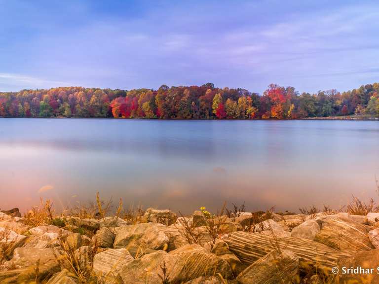 Top 16 Hikes and Walks in Patapsco Valley State Park Rockhaven Area ...
