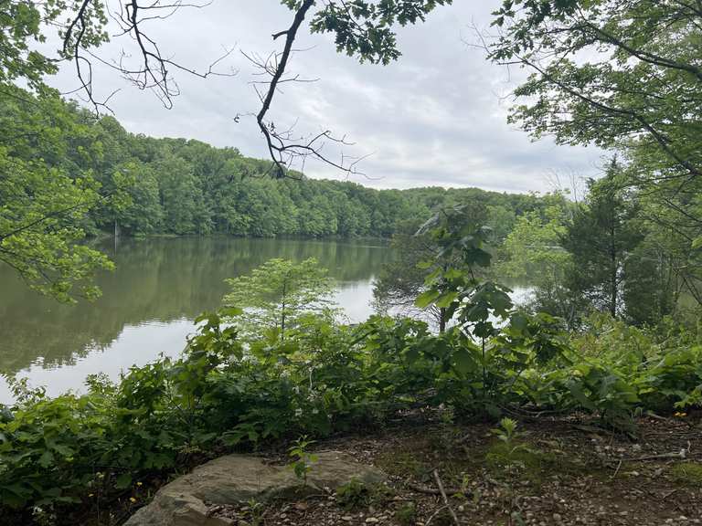 Top 10 Hikes and Walks in Seneca Creek State Park | Komoot