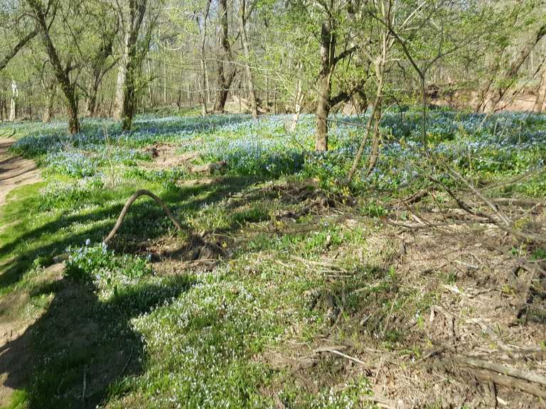 Top 10 Hikes and Walks in Bull Run Regional Park | Komoot