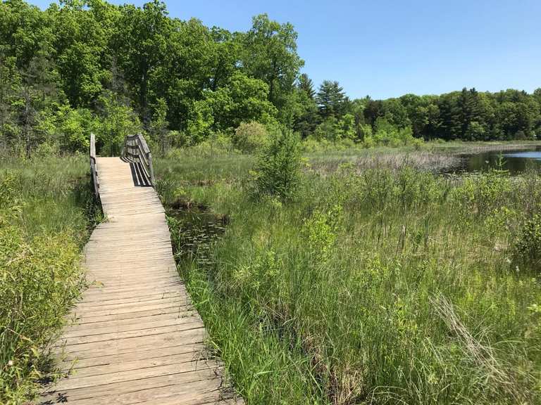 Top 9 Hikes and Walks in Pinckney State Recreation Area | Komoot