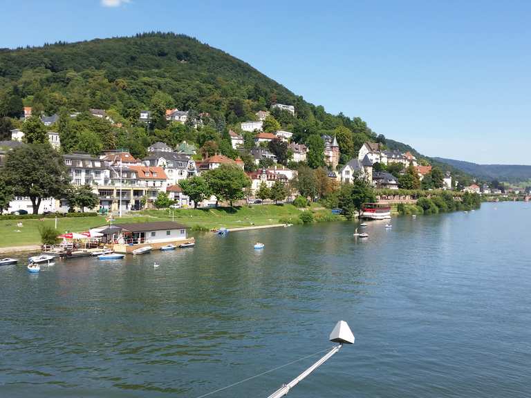 Top 10 Bike Rides and Cycling Routes around Dossenheim | Komoot