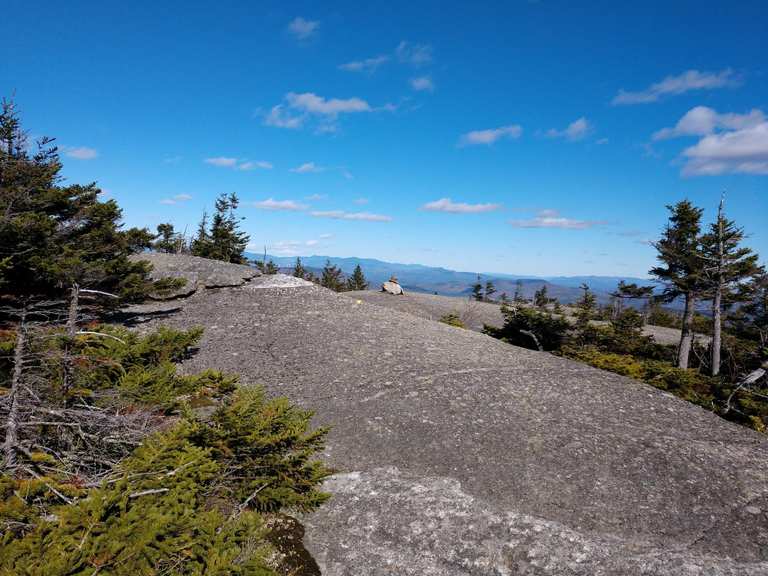 Top 10 Hikes and Walks in Wellington State Park | Komoot