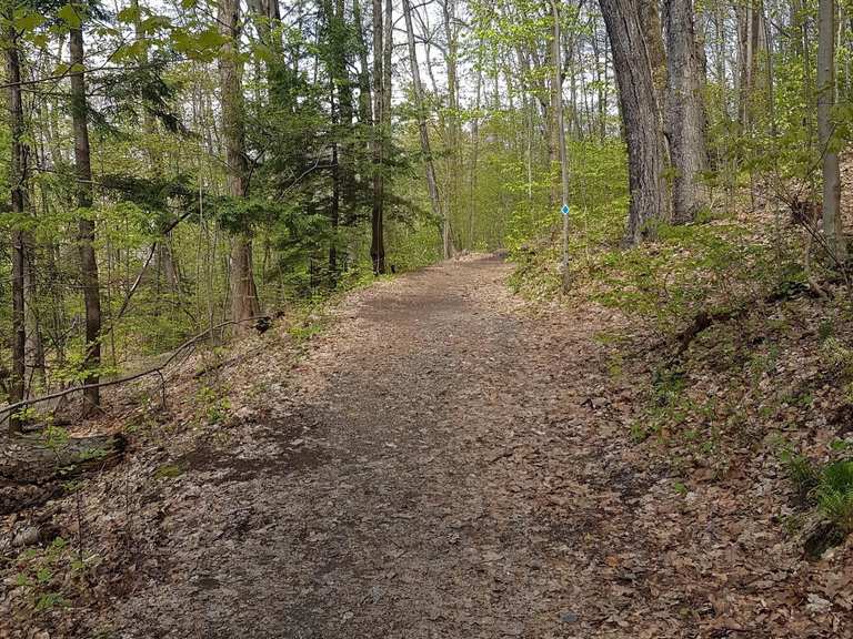 Top 10 Hikes and Walks in Fort Dummer State Park | Komoot