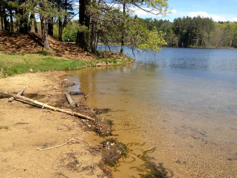 Top 5 Hikes and Walks in Rutland State Park | Komoot