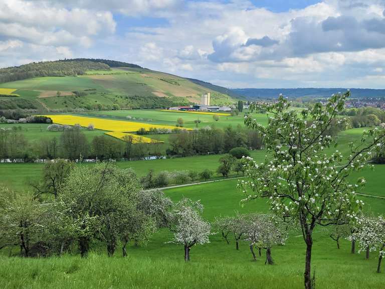 Die 10 schönsten Wanderungen rund um Igersheim | Komoot