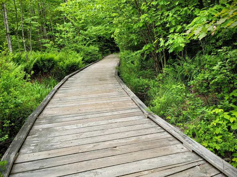 Top 6 Hikes and Walks in Bradbury Mountain State Park | Komoot