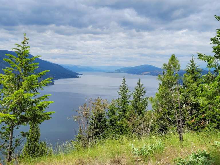 Top 9 Hikes and Walks in Robert'S Lake Regional Park | Komoot