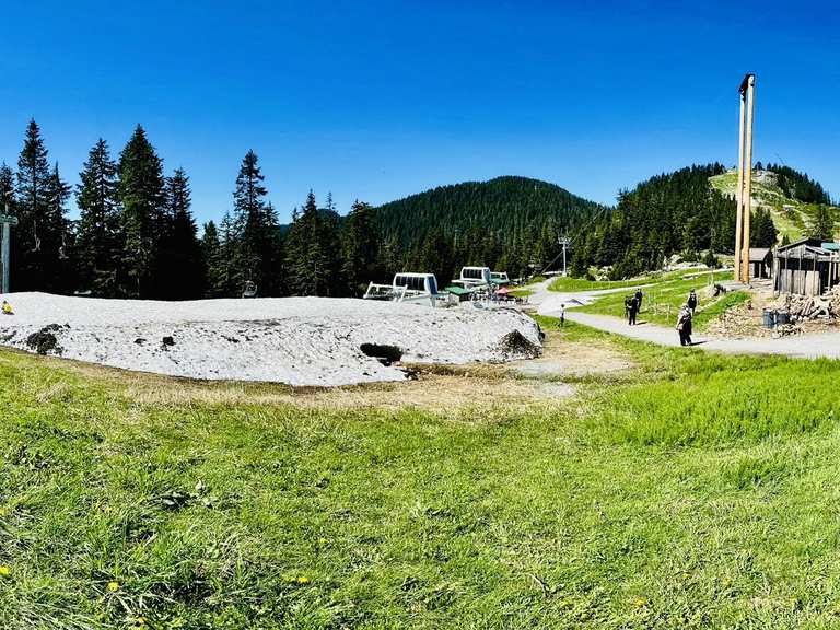 Top 10 Hikes and Walks in Grouse Mountain Regional Park | Komoot