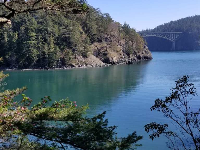 Las 10 rutas para salir a correr más top en Burrows Island Marine State ...
