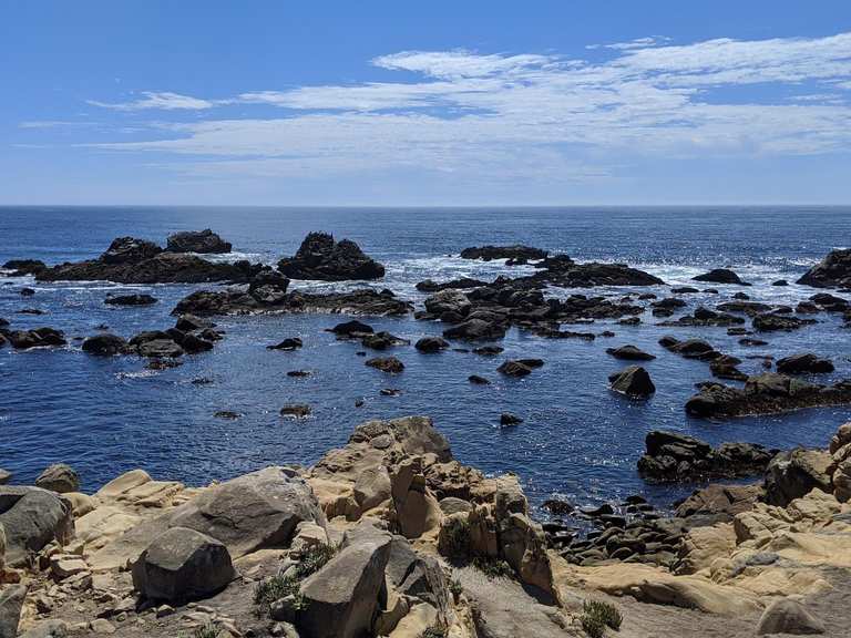 Top 7 Hikes and Walks in Salt Point State Park | Komoot