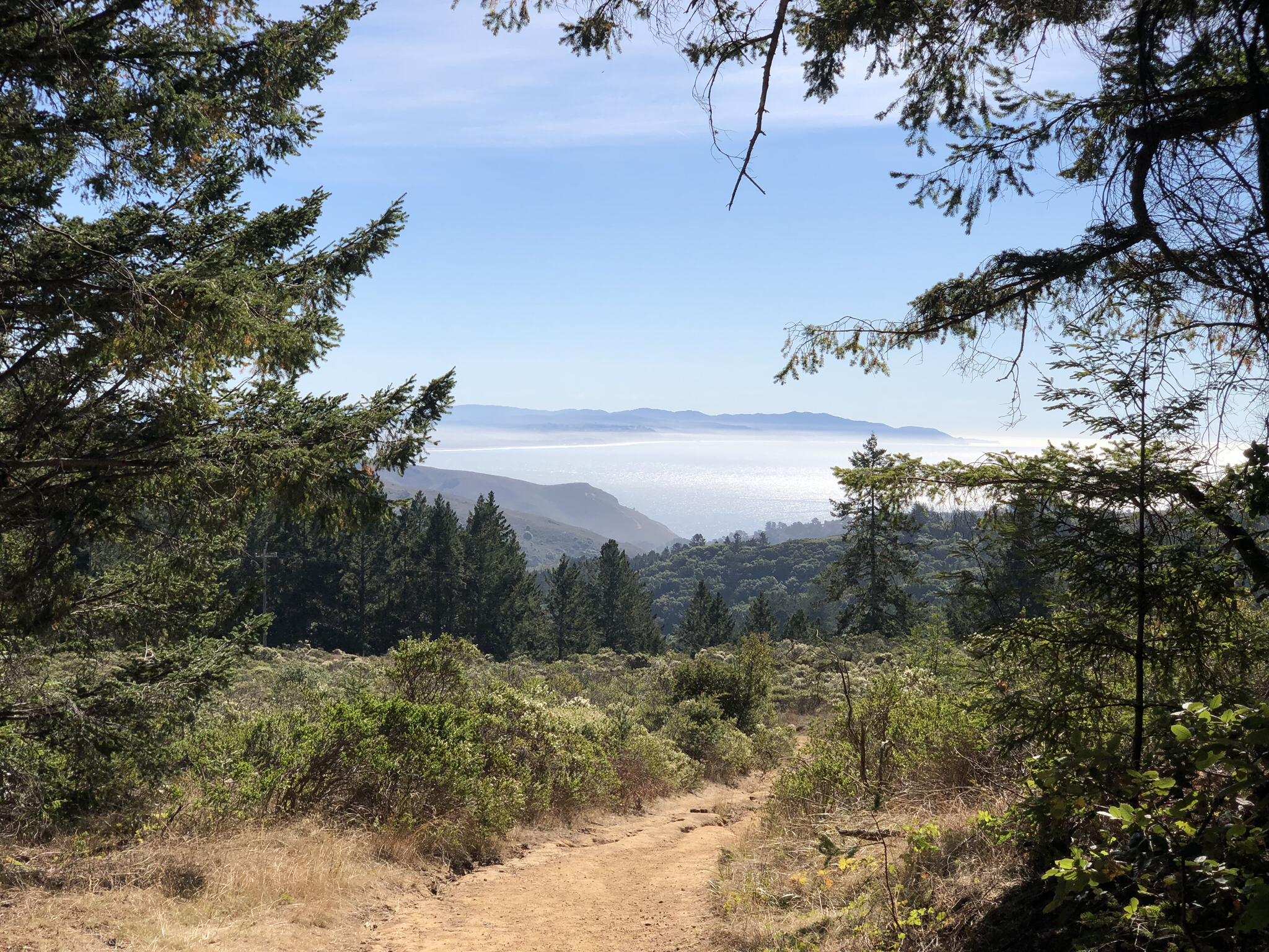 Top 20 Hikes and Walks in Mount Tamalpais State Park | Komoot