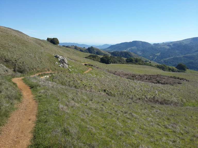Top 9 Hikes and Walks in Mount Burdell Open Space Preserve | Komoot