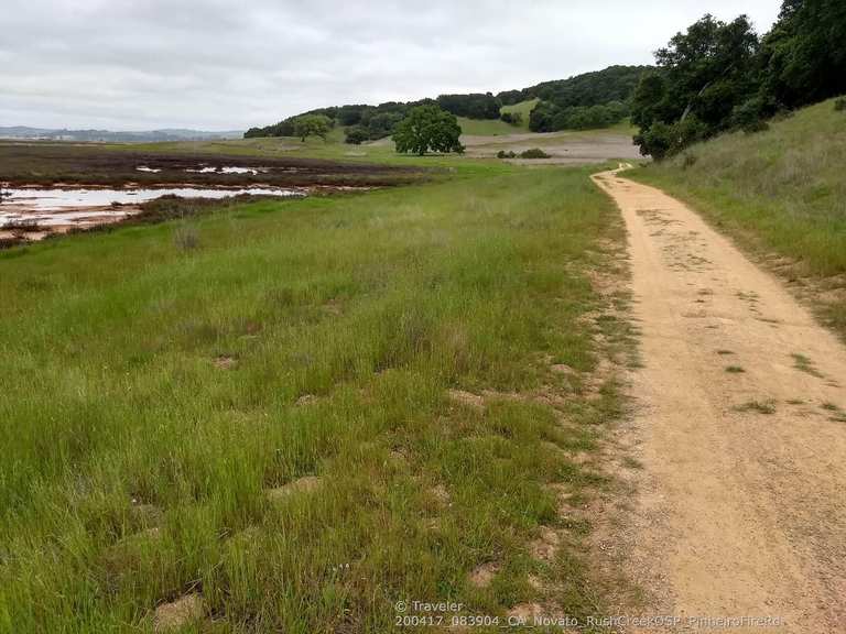 Top 5 Most Beautiful MTB Trails in Mount Burdell Open Space Preserve ...