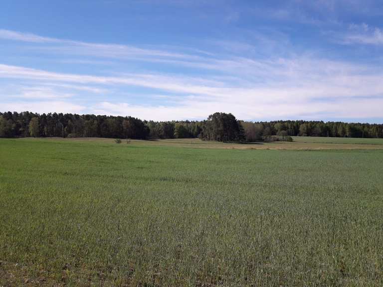 Ausflugsziele rund um Userin - Die Top 20 | Komoot