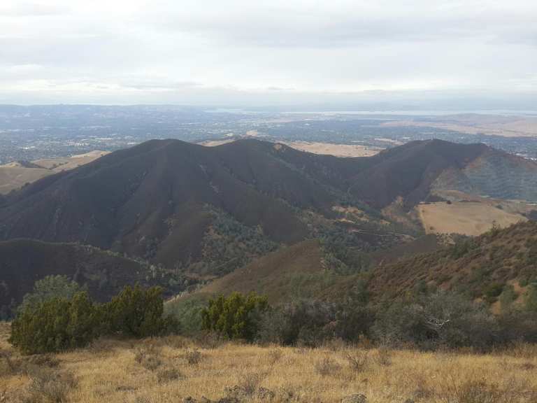 Top 10 Hikes and Walks in Mount Diablo State Park | Komoot