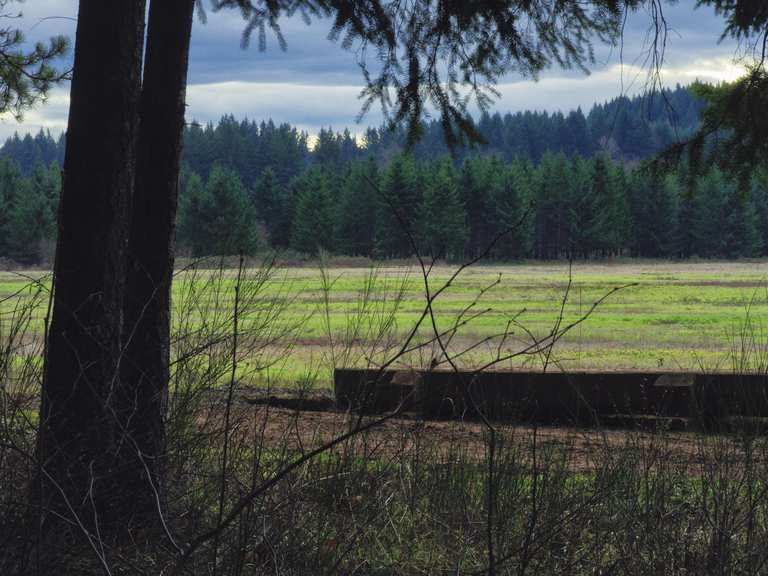 The best cycling routes in Milo Mciver State Park | Komoot