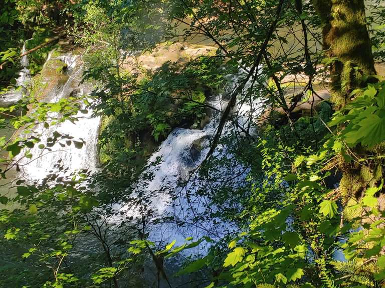 Top 10 Hikes and Walks in Lacamas Regional Park | Komoot