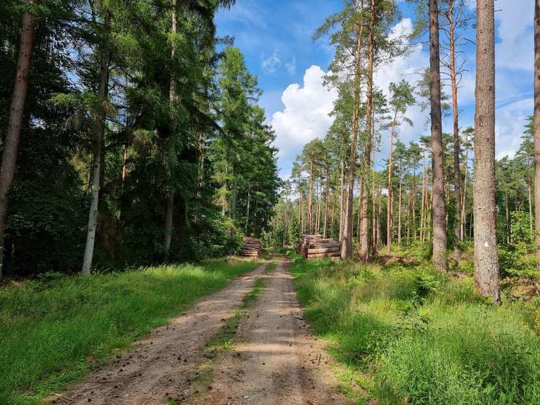 Attractions and Places To See around Zernien - Top 20 | Komoot