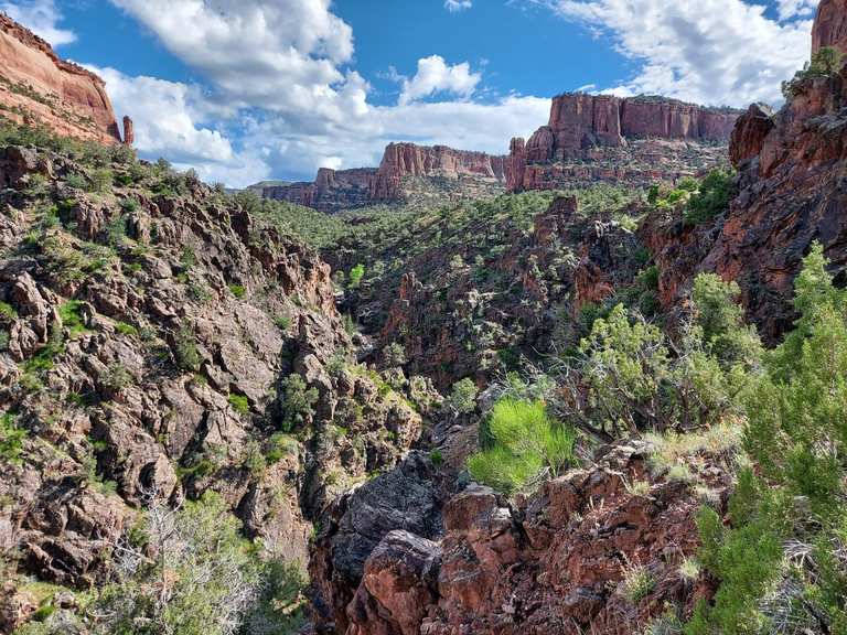 Top 12 Hikes and Walks in James M. Robb - Colorado River State Park ...
