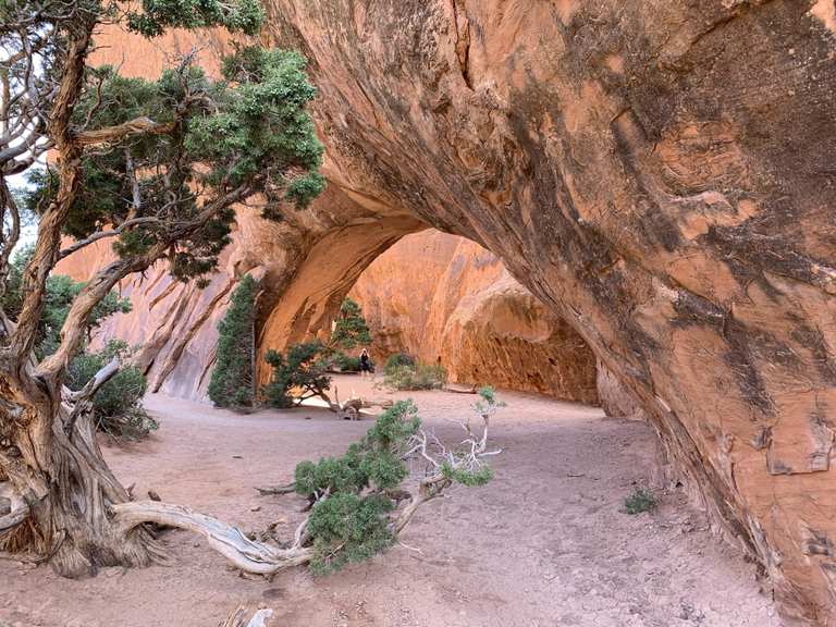 Top 10 Hikes and Walks in Utah Raptor State Park | Komoot