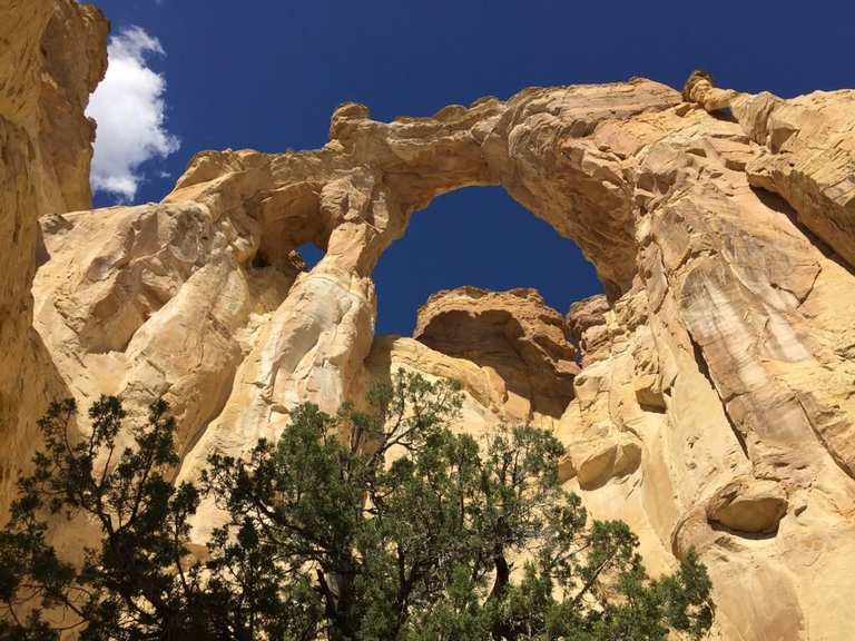 Top 10 Hikes and Walks in Mud Spring Canyon Wilderness Study Area | Komoot