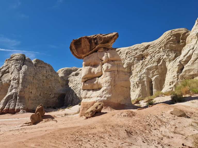 Top 11 Hikes and Walks in The Cockscomb Wilderness Study Area | Komoot