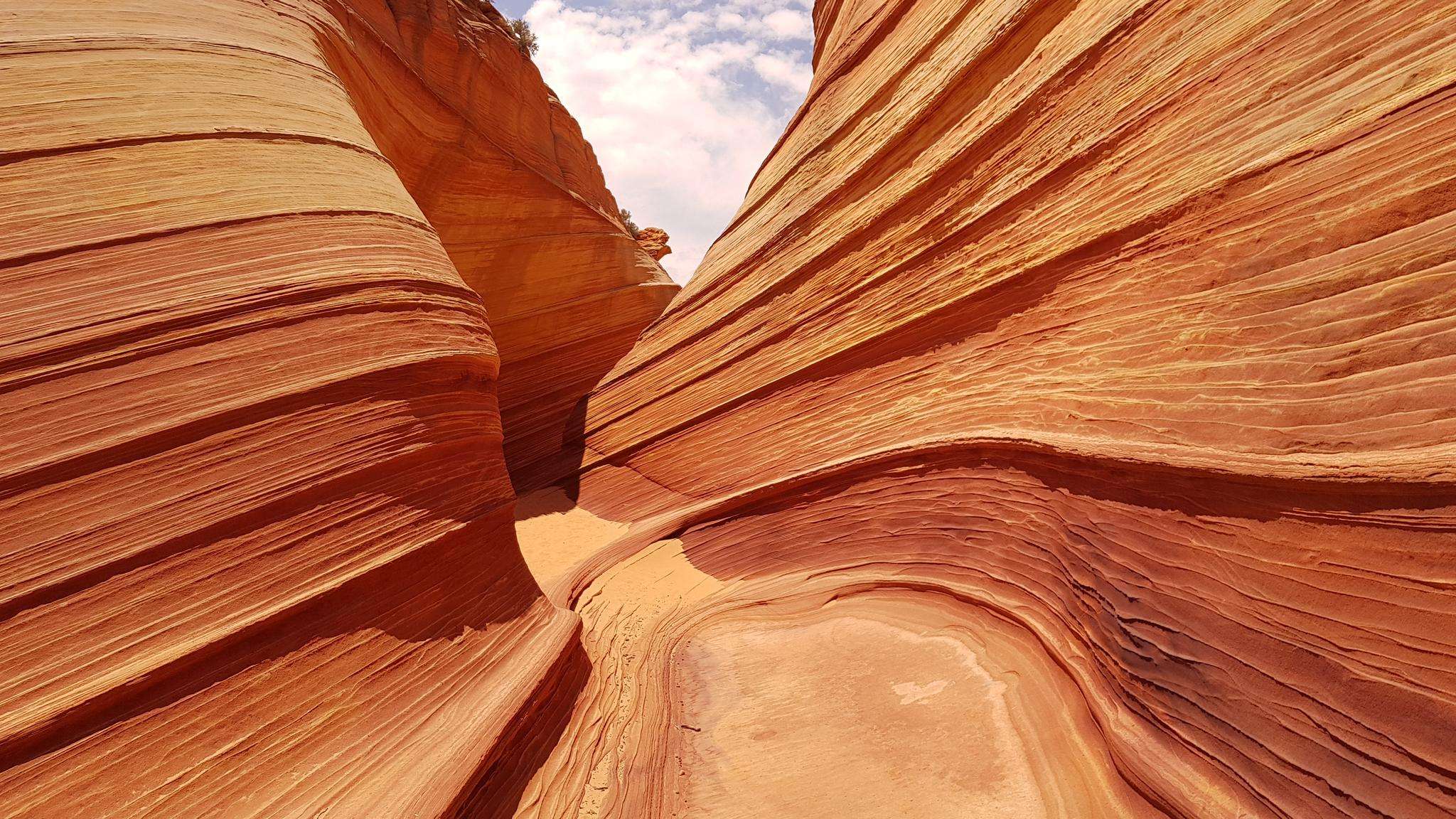 Top 10 Hikes and Walks in Vermilion Cliffs National Monument | Komoot
