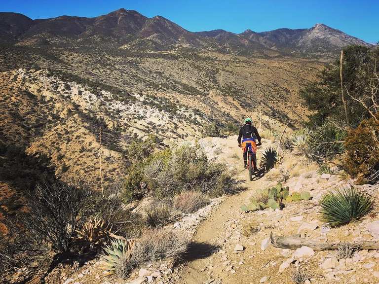 Top 11 Most Beautiful MTB Trails in Santa Rosa And San Jacinto ...