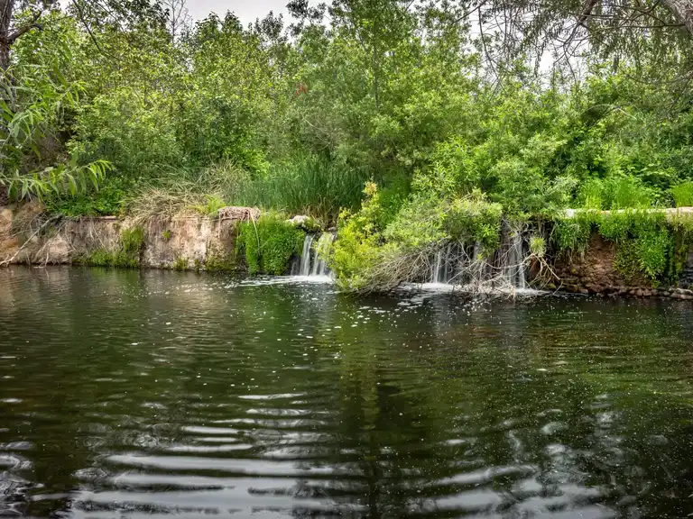 Top 10 Running Trails in Irvine Regional Park | Komoot