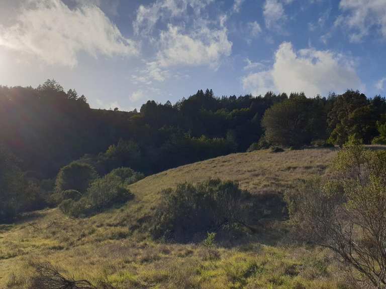 Top 10 Hikes and Walks in Pogonip Open Space Preserve | Komoot