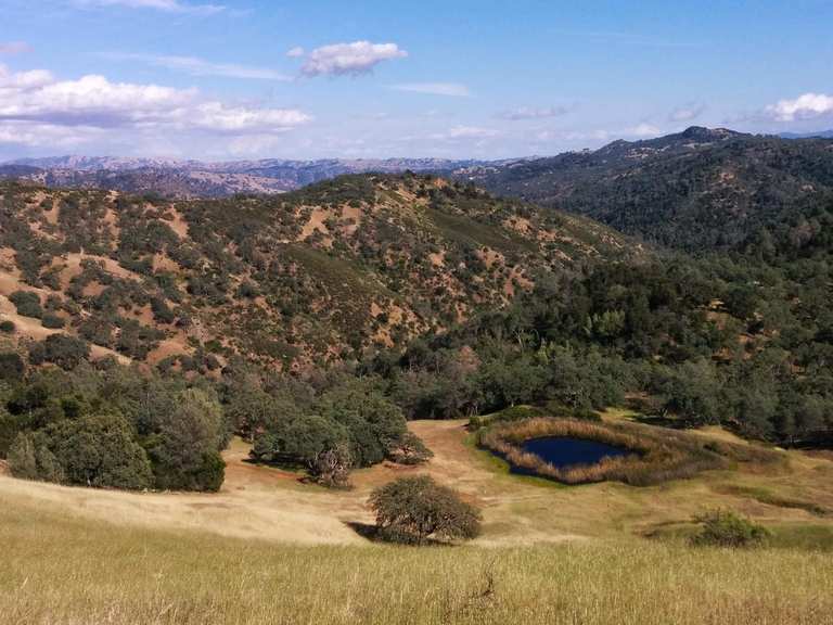 Top 10 Hikes and Walks in Henry Coe State Park | Komoot