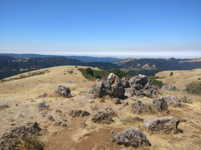 Top 5 Hikes and Walks in Skyline Ridge Open Space Preserve | Komoot