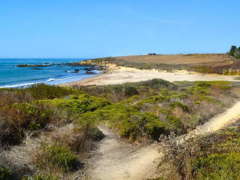 Top 10 Hikes and Walks in Butano State Park | Komoot