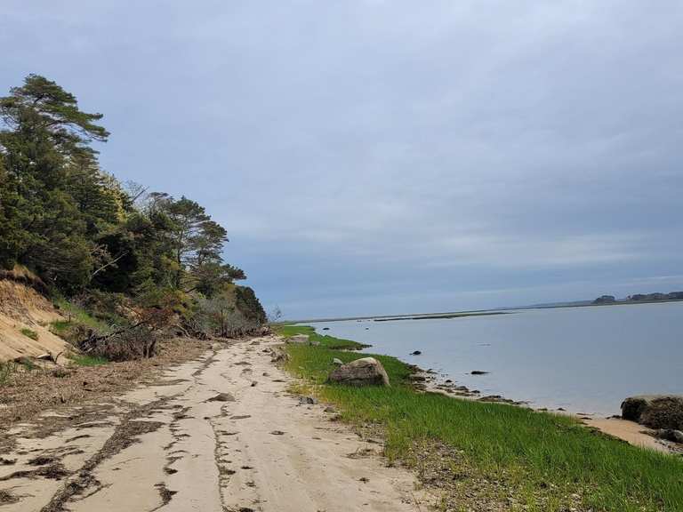 Top 10 Hikes and Walks in Nickerson State Park | Komoot