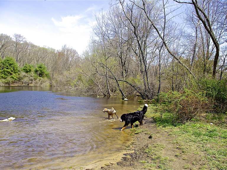 The best walks and hikes in Callahan State Park | Komoot
